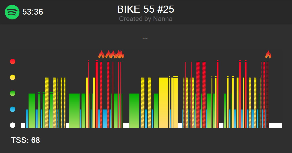 Intelligent Cycling® - BIKE 55 #25