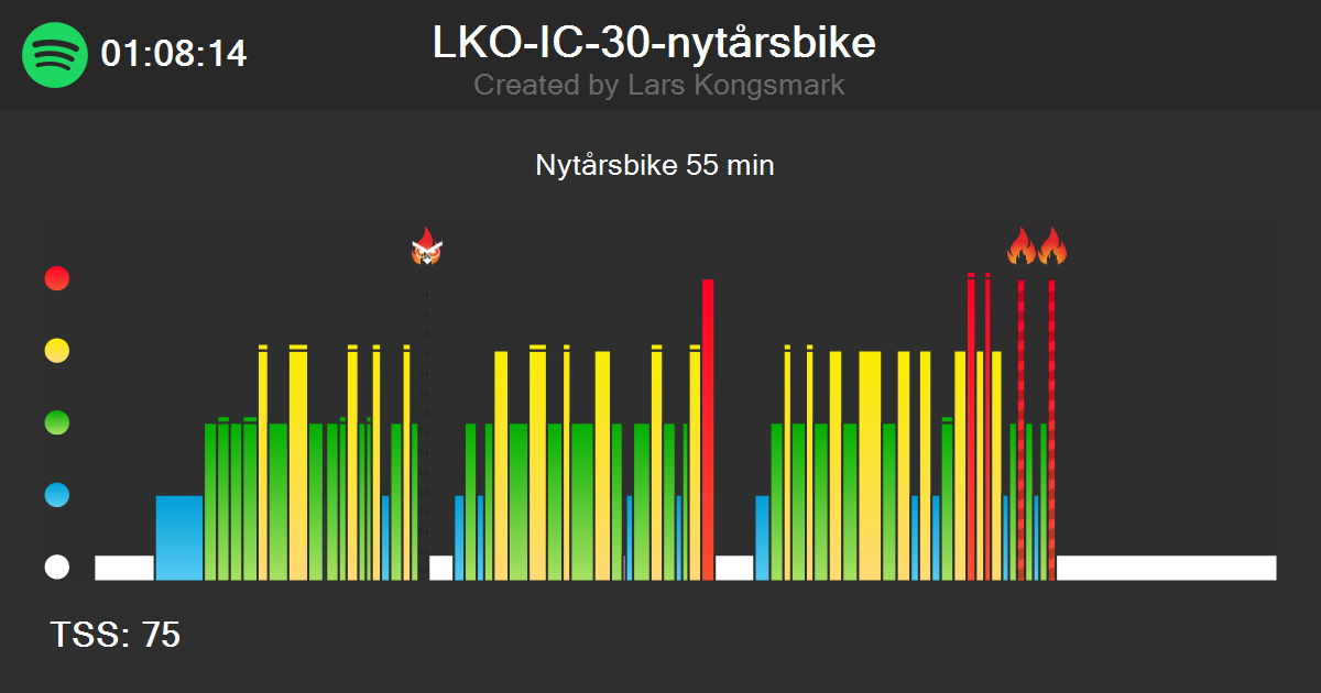 Intelligent Cycling® - LKO-IC-30-nytårsbike