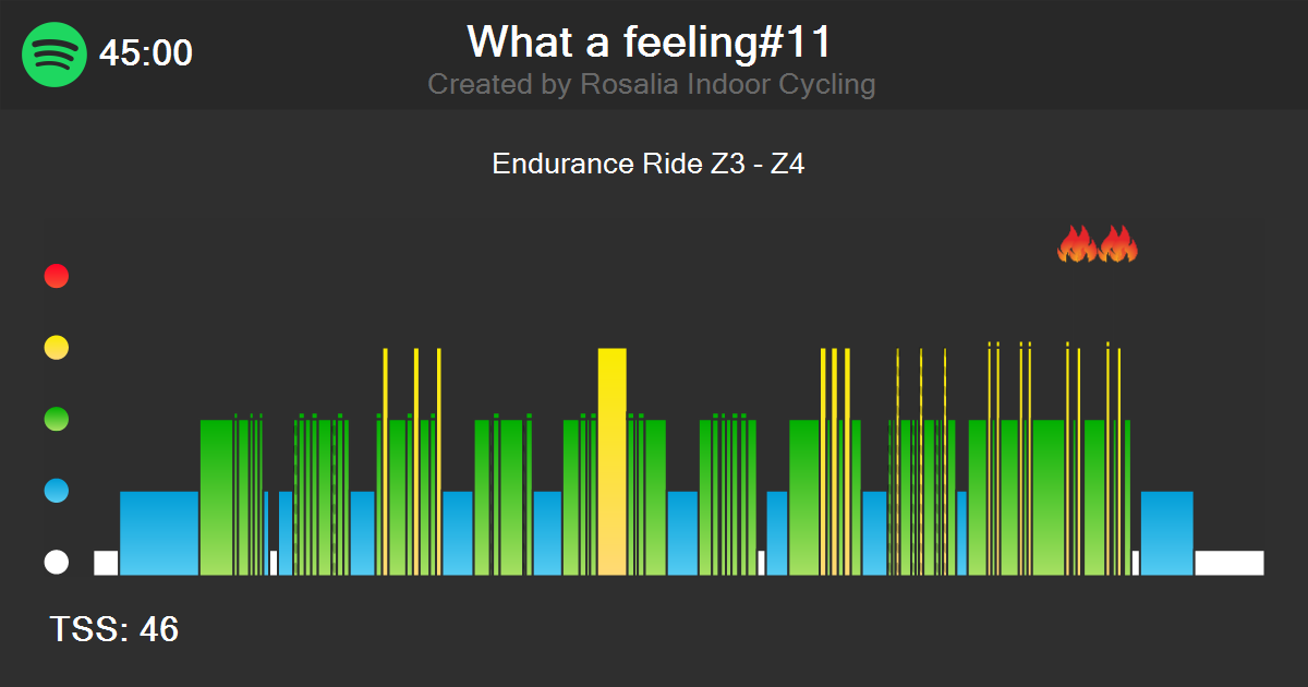 Intelligent Cycling® - What a feeling#11