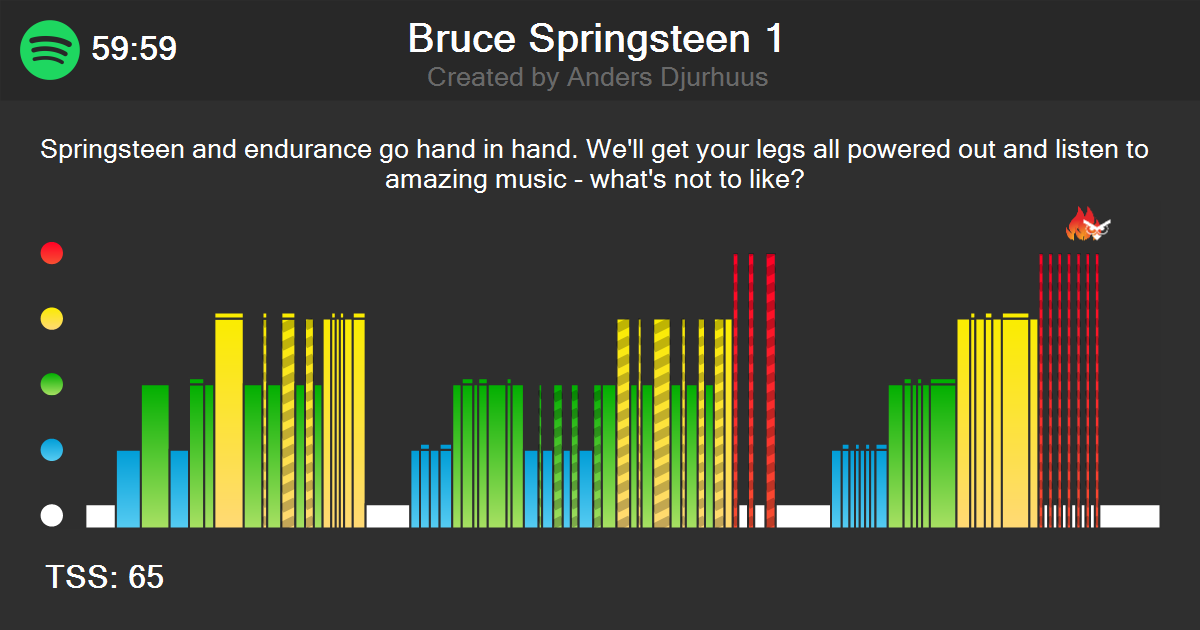 Intelligent Cycling® - Bruce Springsteen 1